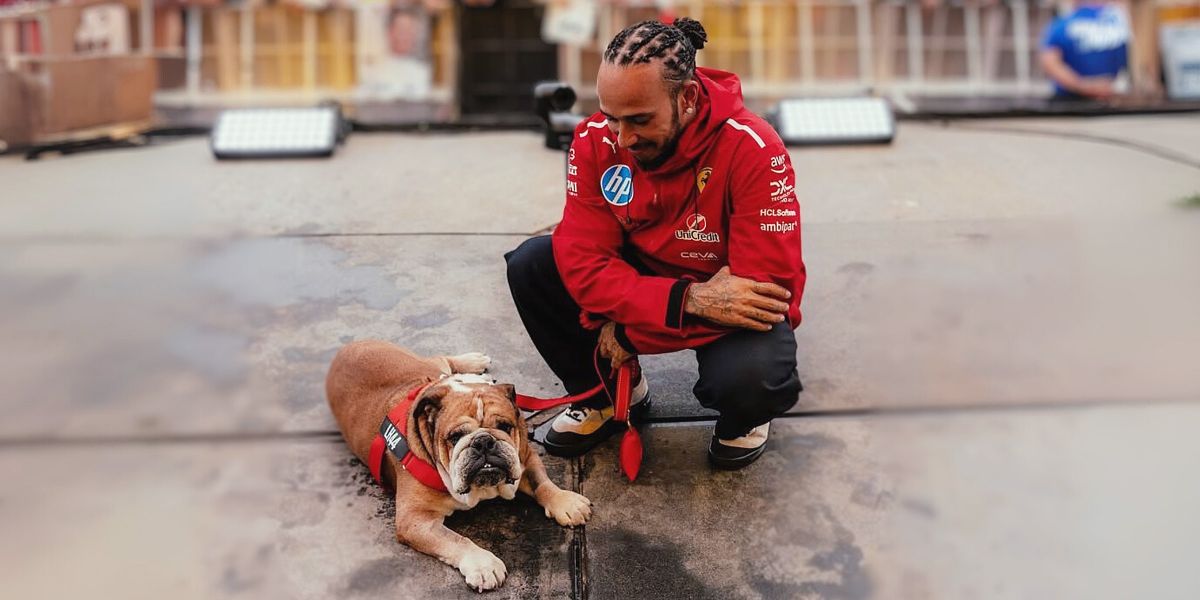 Lewis Hamilton Shares Health Update About His Dog Roscoe